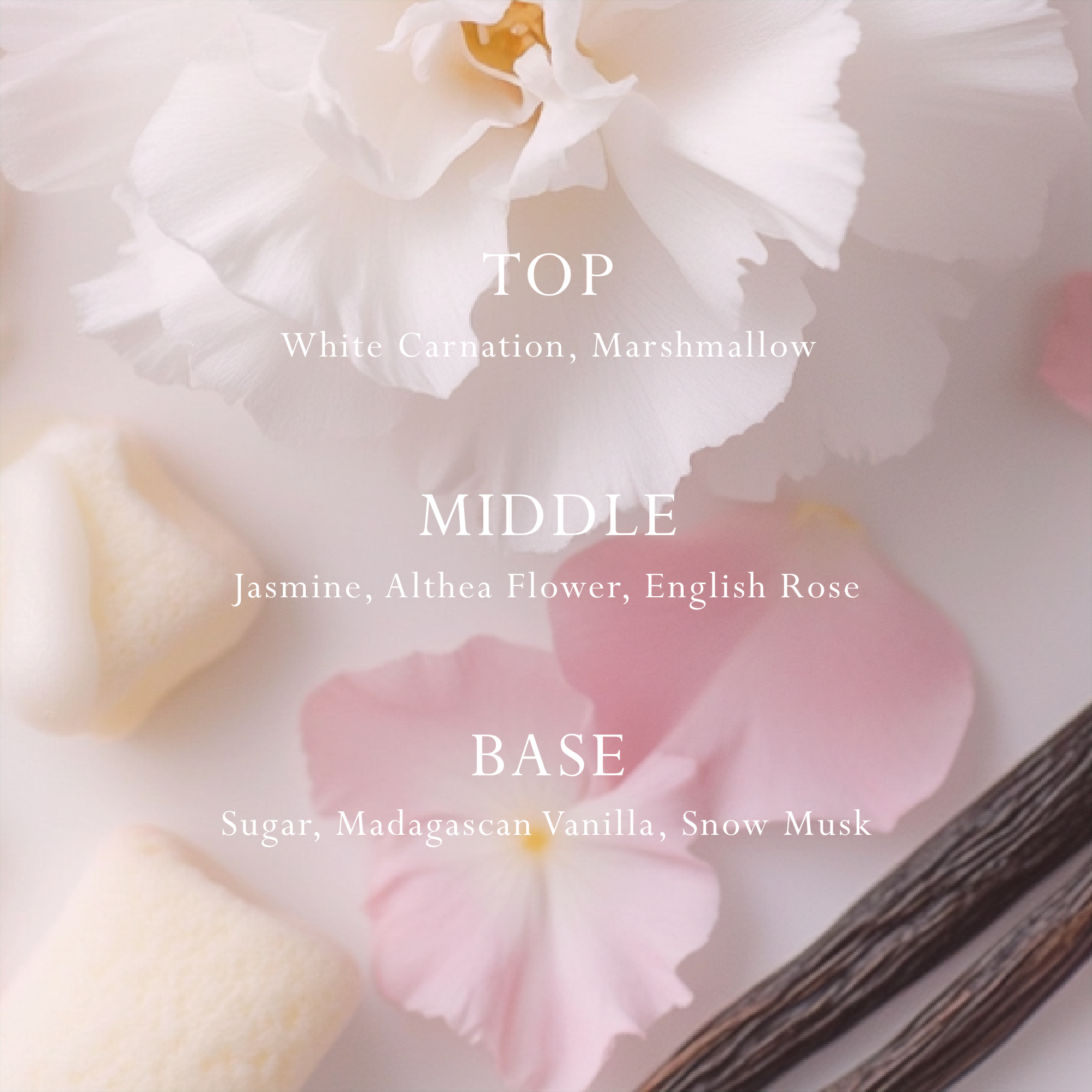 Marshmallow Car & Space Diffuser – MOR